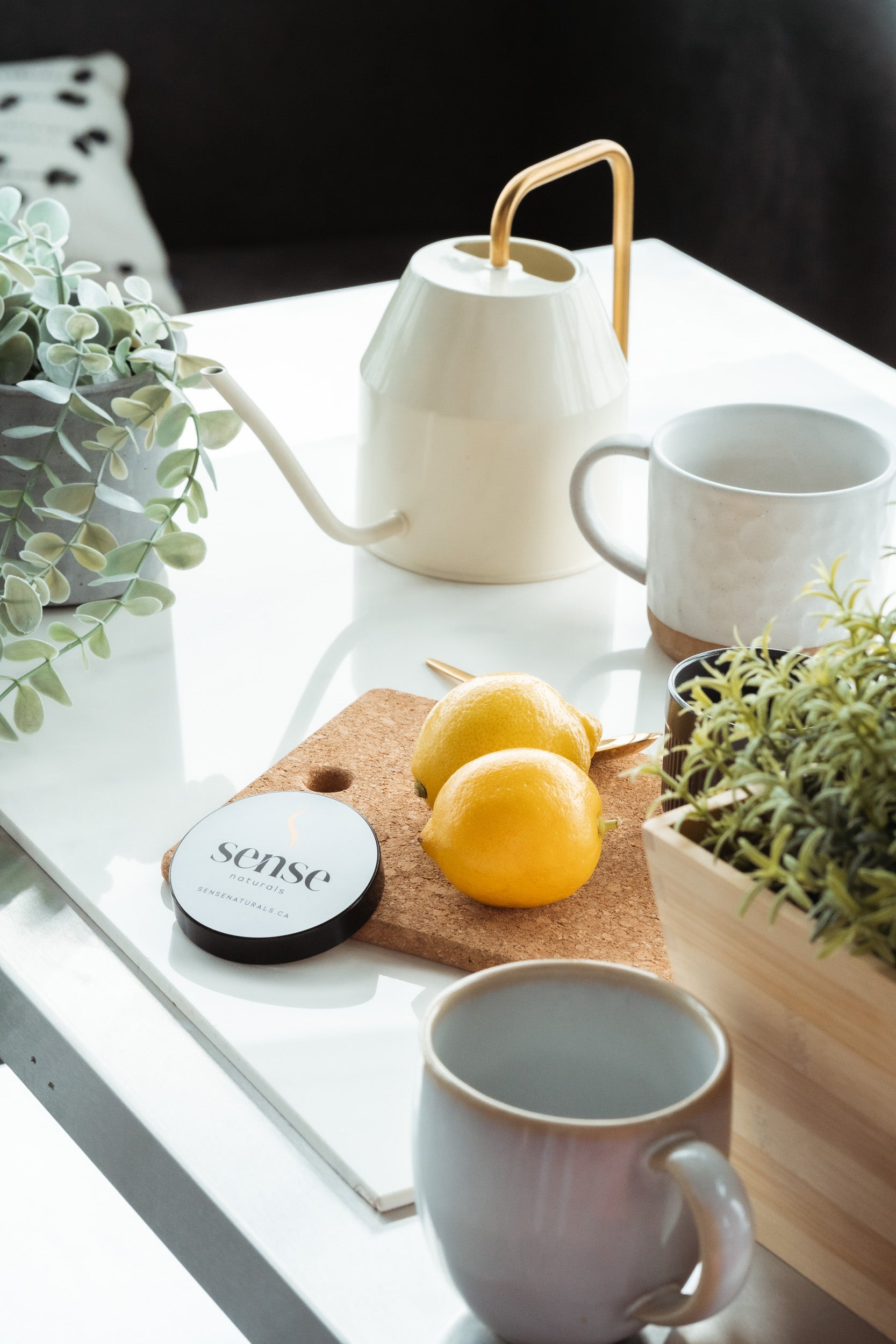 Sense Naturals - An Ayuredic Blend – Sense Naturals Inc.